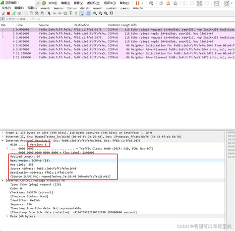 基于 Wireshark 分析 Ip 协议