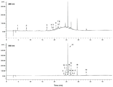 Chromatographic Profile Of Crude Ethanolic Leaf Extract Cee Of Leaves