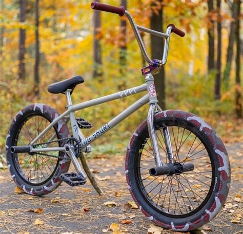 Albums 92+ Pictures Pictures Of Bmx Bikes Latest