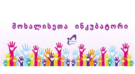 მოხალისეთა ინკუბატორი