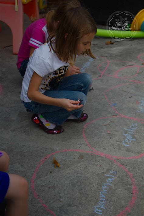 Learn About Animal Classification With The Community Helper For Z Life With Moore Babies