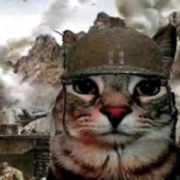 All Mods Thunderstore The ROUNDS Mod Database