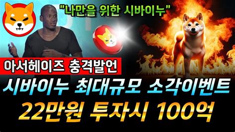 시바이누 코인 시바이누 최대규모 소각이벤트 진행 아서 헤이즈의 충격발언과 오직 나만을 위한 시바이누 등장 비트코인 이더리움 시바이누코인 도지코인 이더리움