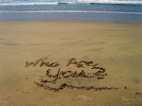 Uc Piqs Everything You Need To Know