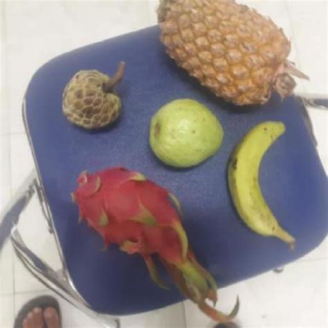 Fruits And Vegetables Object Detection Dataset V1 2023 07 23 3 03pm By Orkhan Aliyev