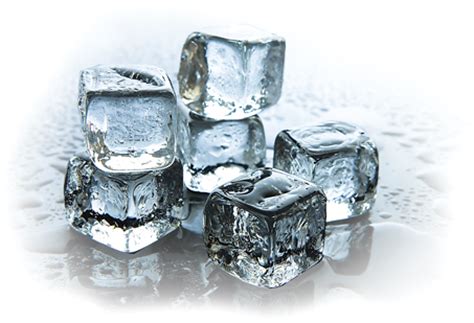 Ice For Your Drink Business Jet Traveler