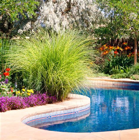 15 Beautiful Ways To Use Ornamental Grasses In Your Garden