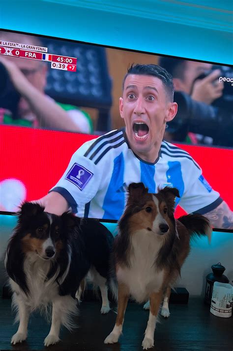 2 Fans 🇦🇷 R Sheltie