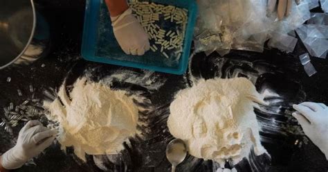 Eeuu Busca Regular La Xilacina Sedante Que Los Cárteles Mexicanos Mezclan Con Fentanilo Infobae