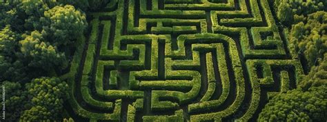Navigating A Complex Maze With A Visible Exit Embodies Effective