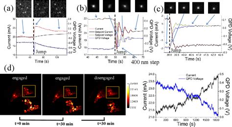 Figure 1 From All Optical Microscope Autofocus Based On An Electrically