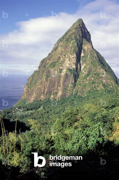 Image Of St Lucia Petit Piton Extinct Cone Volcano
