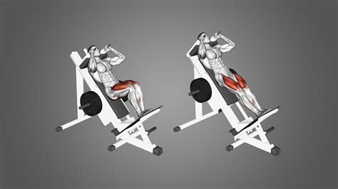 6 Highly Effective Hack Squat Alternatives With Pictures Inspire Us