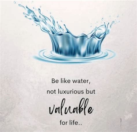 Tashfeen Mehmood On Linkedin 🕊🍃