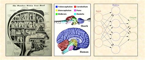 How To Build A Brain A Hardware Overview Of Neural Network Architectures Techovedas