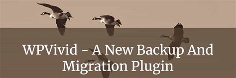 Wpvivid A New Backup And Migration Plugin Webtng