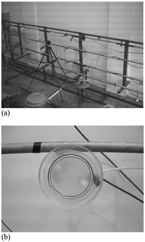A Test Section Of The Flow Loop And B Visualization Cell Download Scientific Diagram