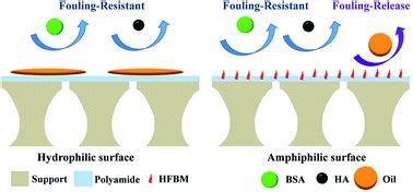 Engineering Amphiphilic Nanofiltration Membrane Surfaces With A Multi Defense Mechanism For