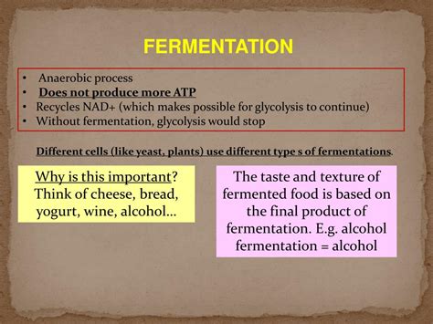Ppt Fermentation Powerpoint Presentation Free Download Id1904484
