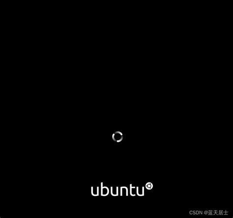 qemu安装ubuntu 20 04的完整过程 csdn博客