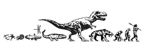 Gill Eapen On Linkedin Backward Evolution