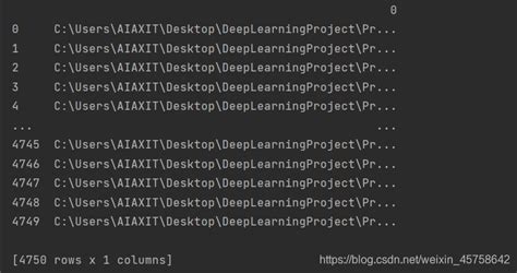 深度学习自制、自定义数据集写论文时数据集可以是自制的吗 Csdn博客
