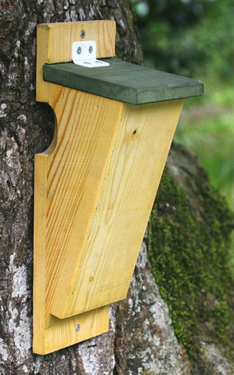 Treecreeper FSC Nest Box Bird Houses Ideas Diy Nesting Boxes Bird Houses Diy
