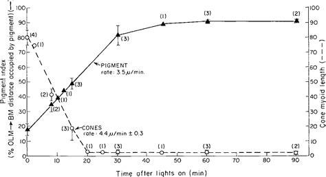 Table 1 From Retinomotor Pigment Migration In The Teleost Retinal