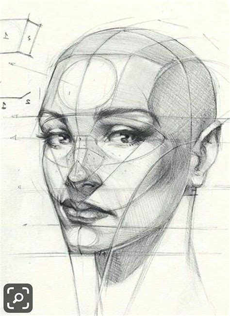 Pin By Pinner On Анатомия In 2024 Portrait Drawing Anatomy Sketches Realistic Drawings