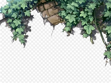 水彩藤蔓边框png图片素材下载 图片编号10362206 Png素材网