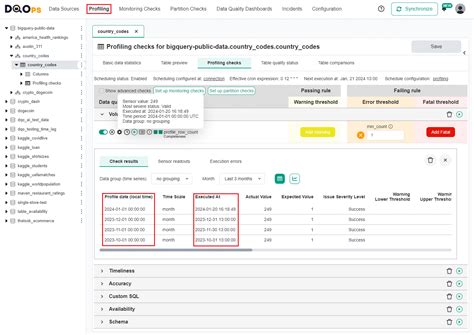 data profiling checks
