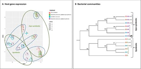 Host Gene Expression And Bacterial Communities Clustering By Symbiotic Download Scientific