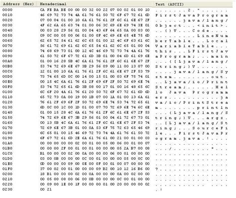 Ram4u Class File Binary File