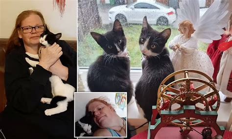 „Јас сум самохрана мајка често гладувам за да ги нахранам моите пет мачки ќерка ми ја пратив