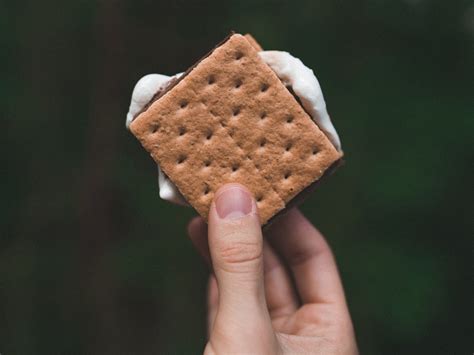How To Make The Perfect Smores—with Science Popular Science
