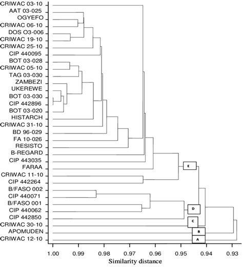Dendrogram Constructed Based On The Selected Accessions And Traits Download Scientific Diagram