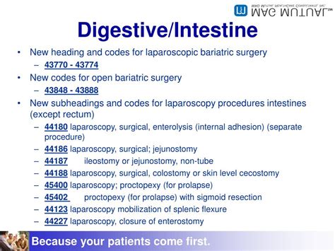 PPT CPT Coding Update PowerPoint Presentation Free Download ID