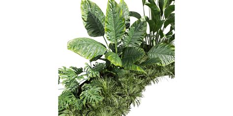 Banana Monstera Grass Garden Vol 616 3d Model For Blender