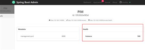 endpoint actuator health url is ok but instance details health status is 500 · issue