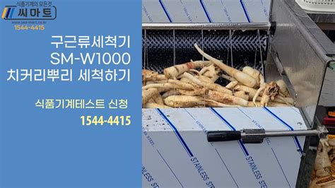 구근류세척기 농산물세척기 치커리뿌리세척하기 식품기계테스트 Youtube
