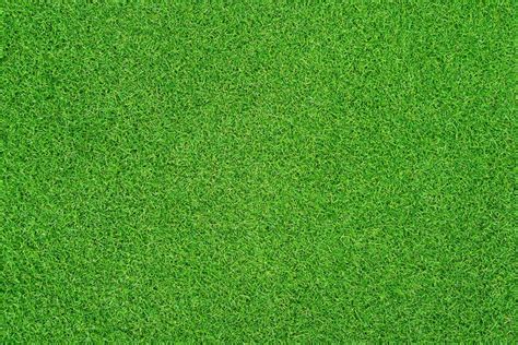 녹색 잔디 질감 배경 잔디 정원 개념 녹색 배경 축구 경기장 잔디 골프 녹색 잔디 패턴 질감 배경을 만드는 데 사용 프리미엄 사진