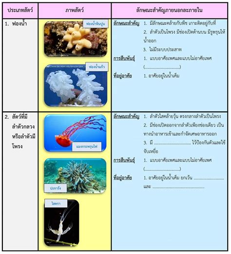 🆕 สาระน่ารู้วิทย์ By ครูโบ้ 🌻🎓 เรื่อง วิทยาศาสตร์ ครูโบ้ Facebook