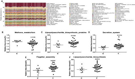 Pathway Abundance Analysis Of Microbial Taxa With Kegg A Kegg