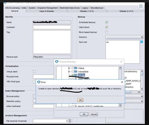 NetWorker Unable To Add A Saveset With Polish Characters In NMC Dell India