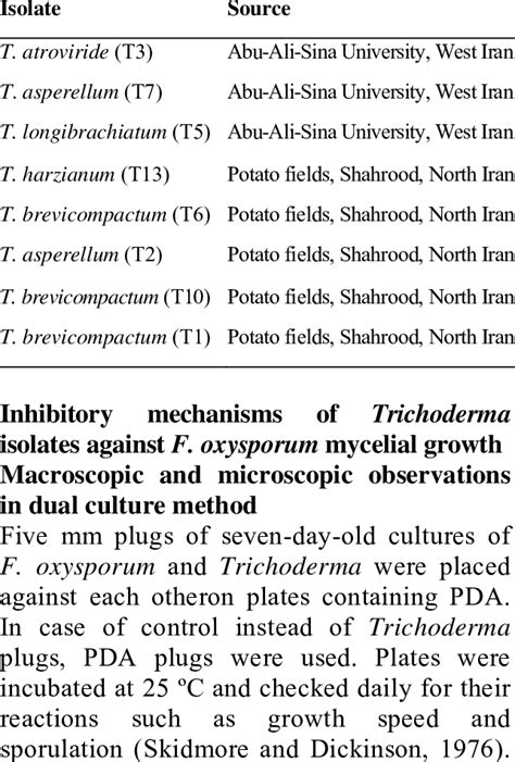 Source Of Trichoderma Isolates Download Table