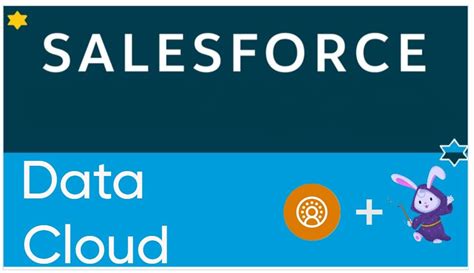 Salesforce Data Cloud Accredited Professional In 2023 Salesforce Exam Clouds