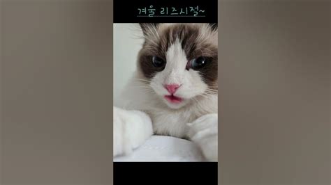 다시 그 시절이 오고있어 ᰔᩚ Youtube