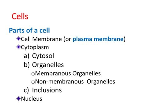 Levels Of Structural Complexity Of The Body Pptx