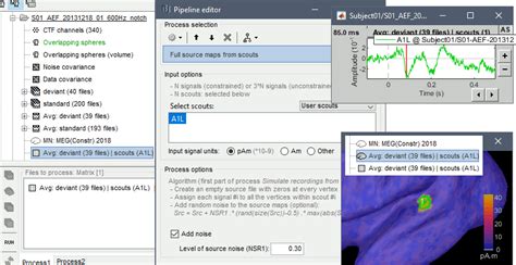 Tutorials Simulations Brainstorm