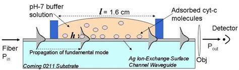 The Schematic Of The Waveguide Sensing Platform The Fundamental Mode Download Scientific